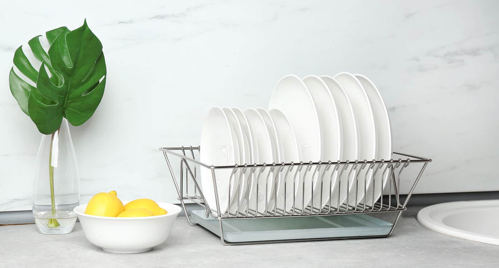 Top 15 Best Dish Racks
