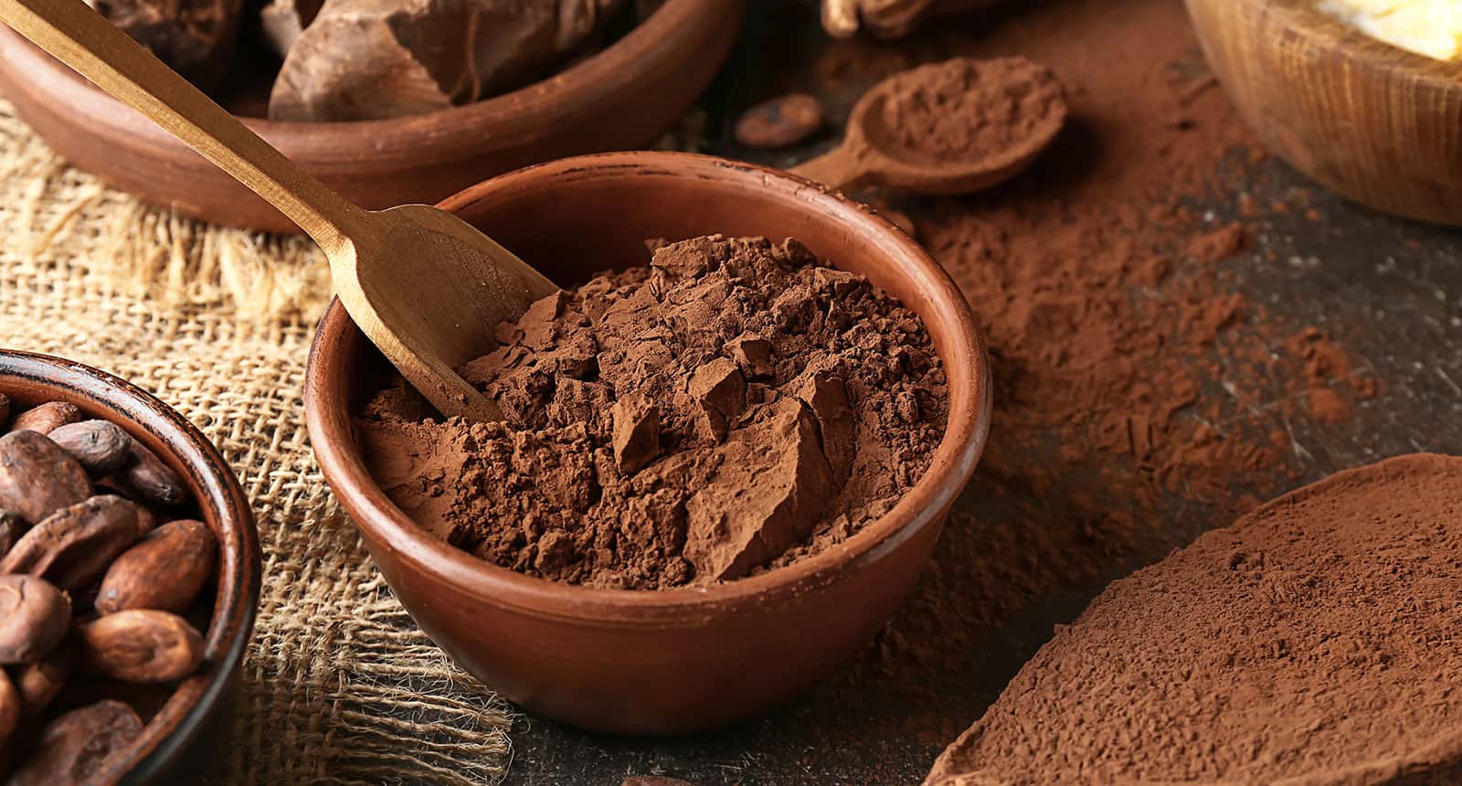 Top 15 Best Cocoa Powders