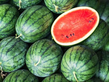 20+ Foods That Start With X