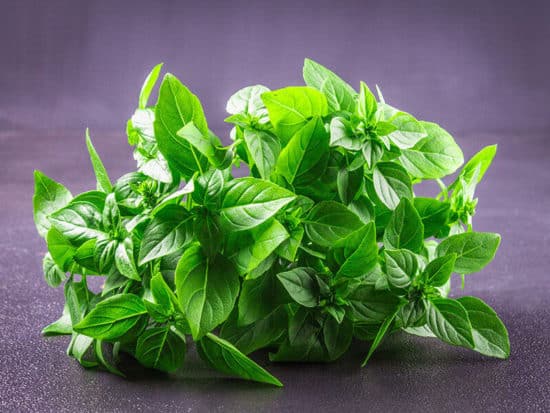 11 Best Substitutes for Thai Basil
