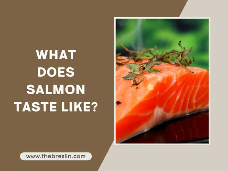 What Does Salmon Taste Like?