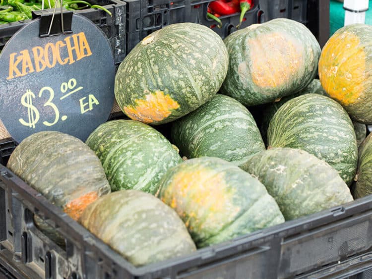 7+ Vital Delicata Squash Substitutes