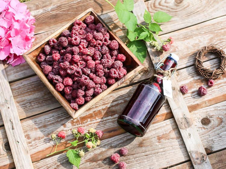 10 Best Substitutes for Grenadine Syrup