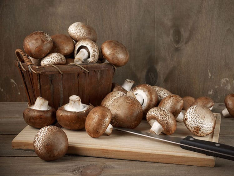 13 Best Substitutes for Shiitake Mushrooms