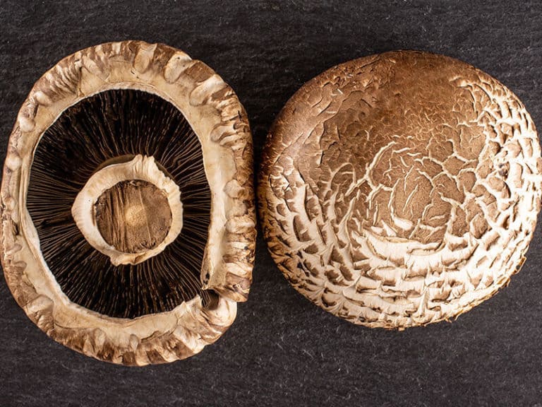 13 Best Substitutes for Shiitake Mushrooms