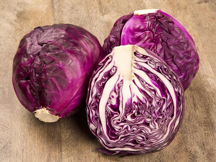 8 Ideal Radicchio Substitutes