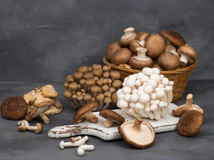 13 Best Substitutes for Shiitake Mushrooms