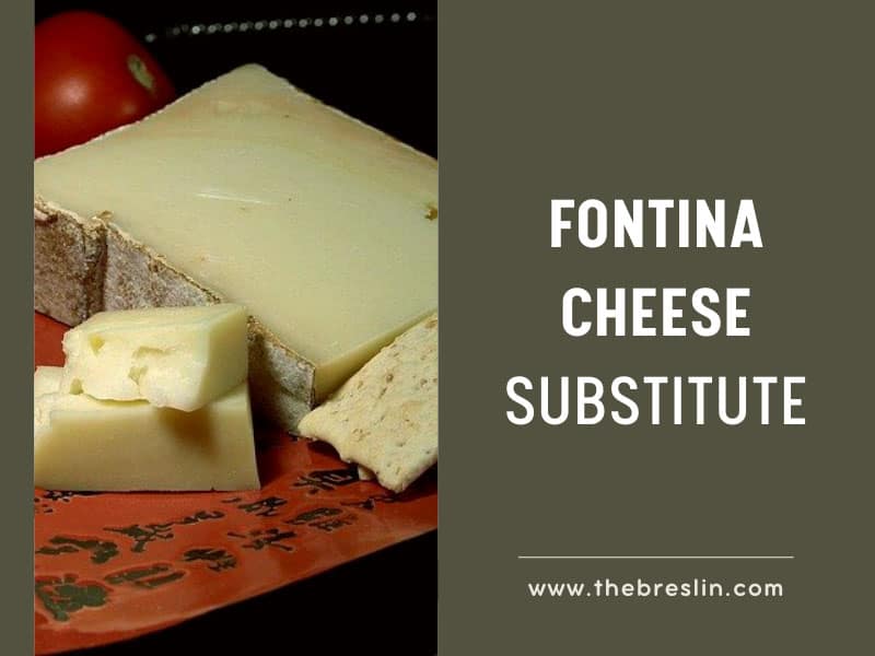 Top 8 Swiss Cheese Substitutes
