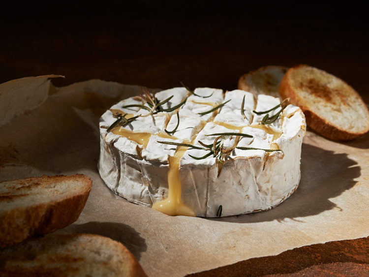 12+ Best Substitutes for Brie Cheese