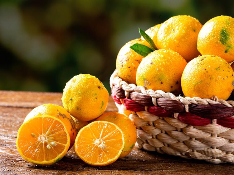 25 Types of Citrus Fruits
